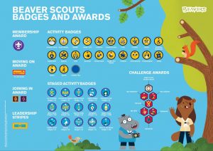 Beavers Badges – 7th Larne Scouts